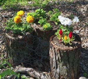 How To Make A Log Planter For Your Garden - DIY Joy