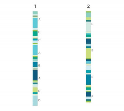 Boardwalk Quilt by Jenny Doan - DIY Joy