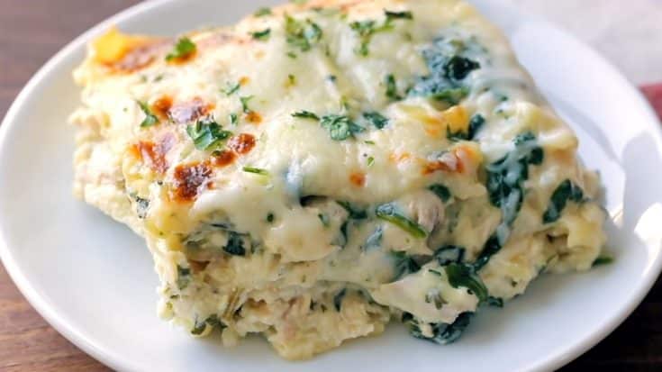 Easy Chicken Lasagna With Creamy White Sauce - DIY Joy