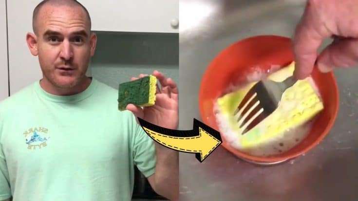 How To Clean A Stinky Sponge - DIY Joy