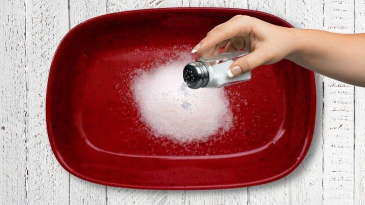 How to Fix Food That is Too Salty - DIY Joy
