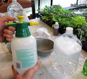 How to Make Soapy Water Garden Insect Spray - DIY Joy