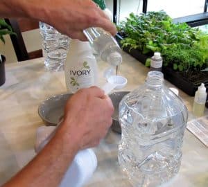 How to Make Soapy Water Garden Insect Spray - DIY Joy