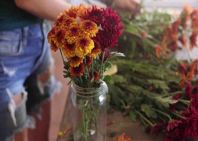 4 Easy Tips For A Clean & Fresh Home - DIY Joy