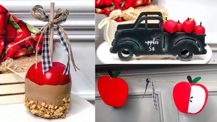 DIY Dollar Tree Fall Apple Home Decor - DIY Joy