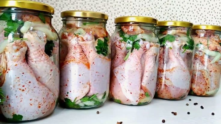How To Keep Chicken Fresh For 1 Year - DIY Joy