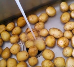 How to Freeze Potatoes the Right Way - DIY Joy