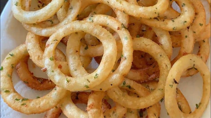 Super Crispy Garlic Potato Rings - DIY Joy