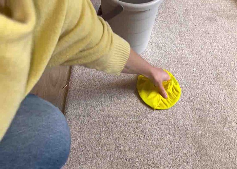 How To Clean Carpet Stain In Just 1 Minute - DIY Joy