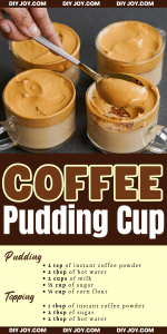 5-Ingredient Coffee Pudding Cup Recipe - DIY Joy