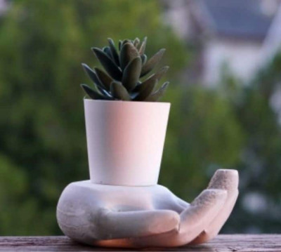 How to Make a DIY Cement Hand Planter - DIY Joy
