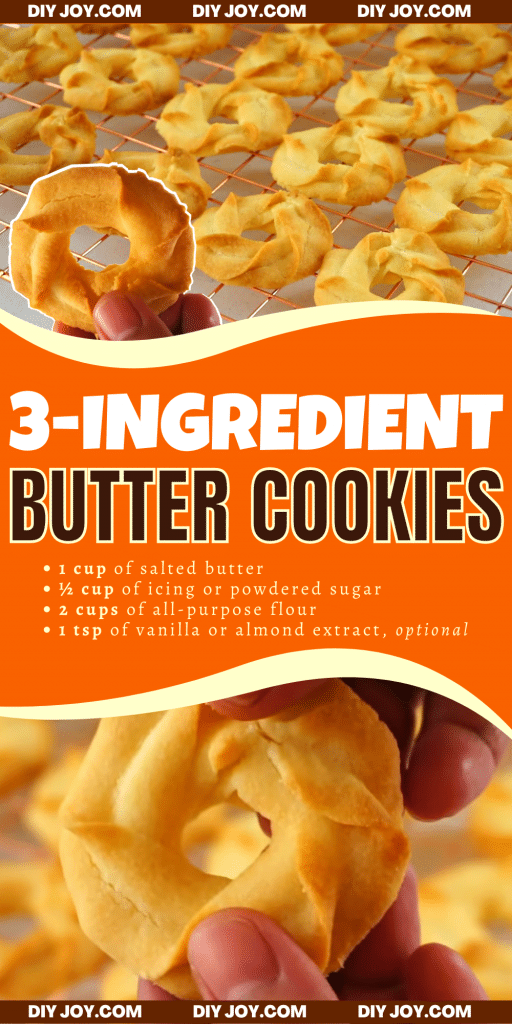 How to Make 3-Ingredient Butter Cookies Ready in 15 Minutes! - DIY Joy