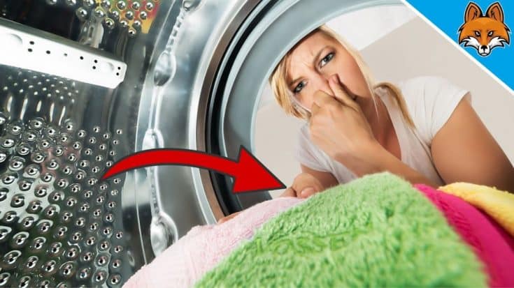 Inexpensive Hack For Laundry That Stinks After Washing - DIY Joy
