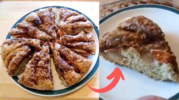 One-Bowl Apple Crunch Cake Recipe - DIY Joy