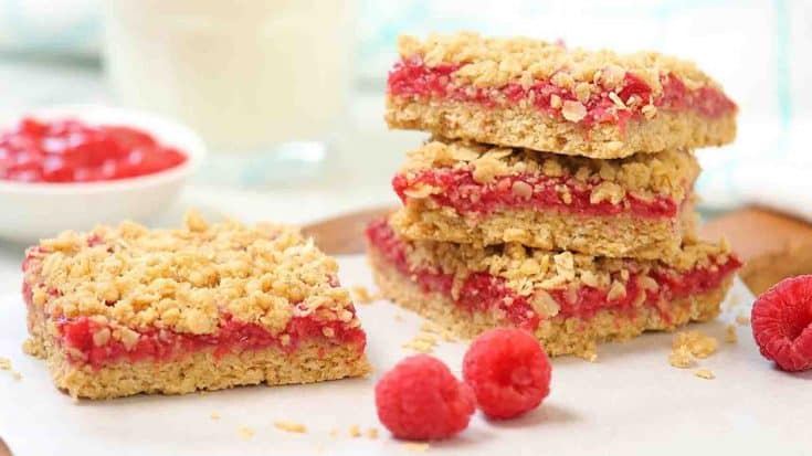 Raspberry Oat Crumble Bars Recipe - DIY Joy