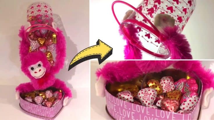 Dollar Tree DIY Floating Monkey Candy Dish Tutorial - DIY Joy