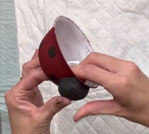 How to Make a Cute DIY Ladybug Planter - DIY Joy