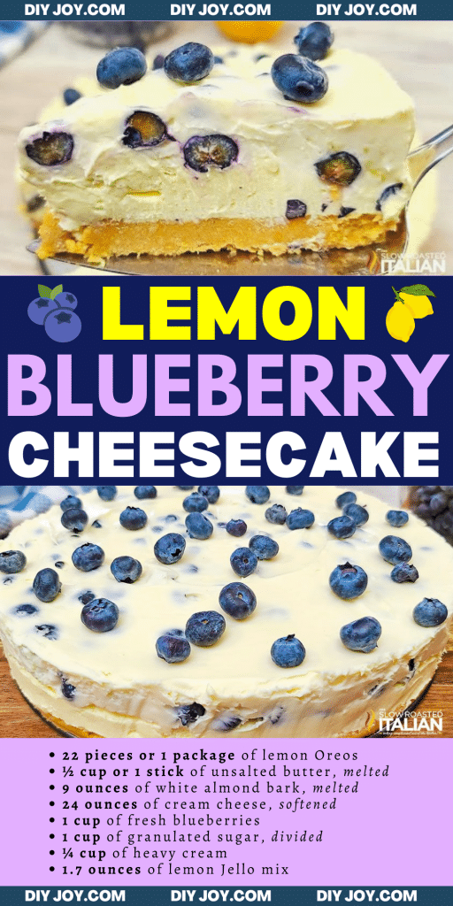Easy No-Bake Lemon Blueberry Cheesecake Recipe - DIY Joy