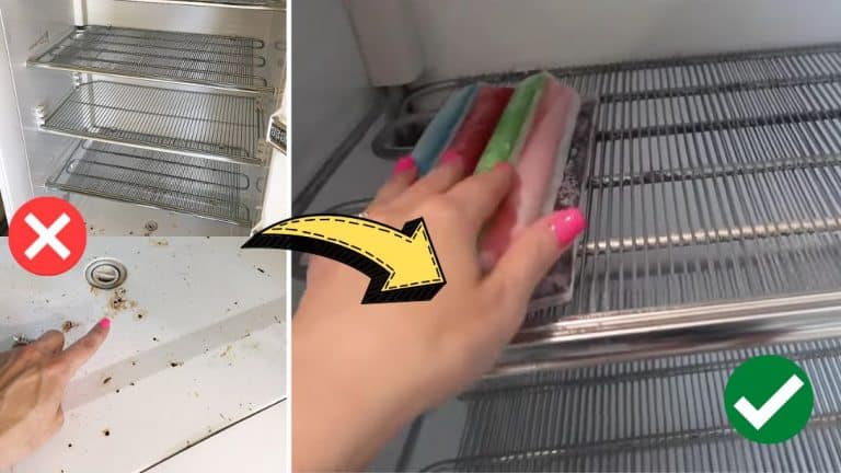 How to Clean Stinky Fridge or Freezer - DIY Joy