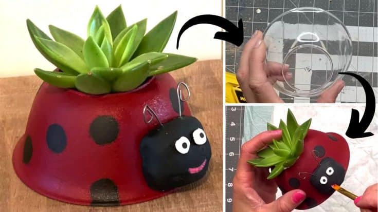 How to Make a Cute DIY Ladybug Planter - DIY Joy