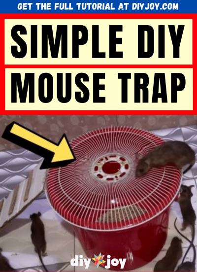 Easy & Simple DIY Mouse Trap Tutorial - DIY Joy