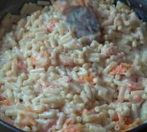 Easy 3 Ingredient Stovetop Macaroni Cheese Recipe Diy Joy