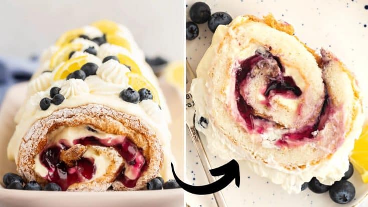 Easy Lemon Blueberry Angel Food Cake Roll Recipe - DIY Joy
