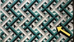 Easy-to-Make 3-Dimensional Quilt (with Free Pattern) - DIY Joy