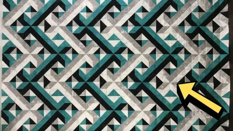 Easy-to-Make 3-Dimensional Quilt (with Free Pattern) - DIY Joy