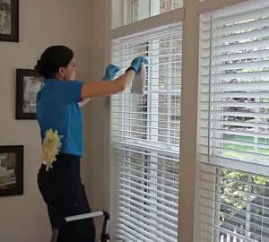 How to Deep Clean Your Blinds - DIY Joy