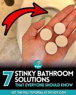7 Stinky Bathroom Solutions That Everyone Should Know - DIY Joy