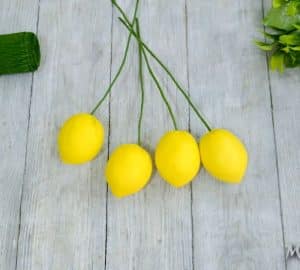 DIY Lemon Towel Hanger - DIY Joy