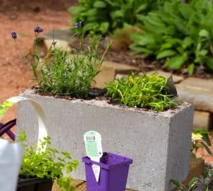 Easy-to-Build DIY Concrete Bench Planter for Your Garden - DIY Joy