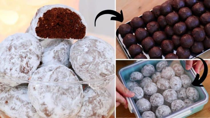 Easy Double Chocolate Snowball Cookies Recipe - DIY Joy