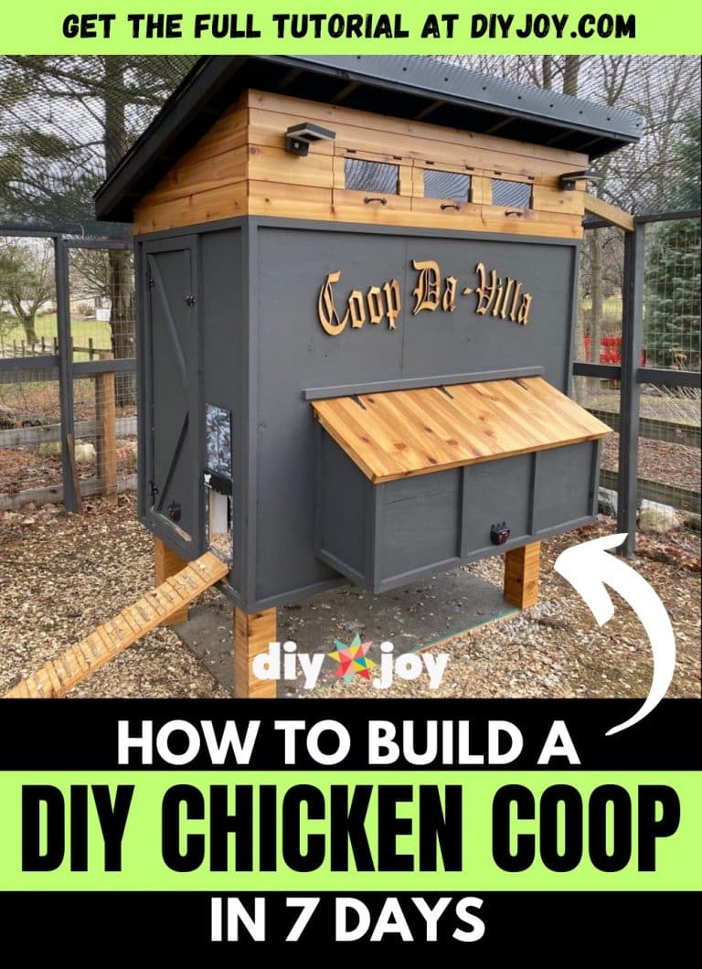 How to Build the Ultimate Chicken Coop in 7 Days - DIY Joy
