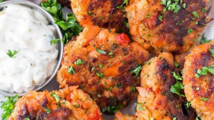 Quick and Easy Salmon Cakes Recipe - DIY Joy