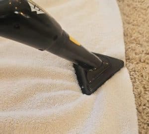 Easy & Quick 5-Minute Carpet Stain Removing Hack - DIY Joy