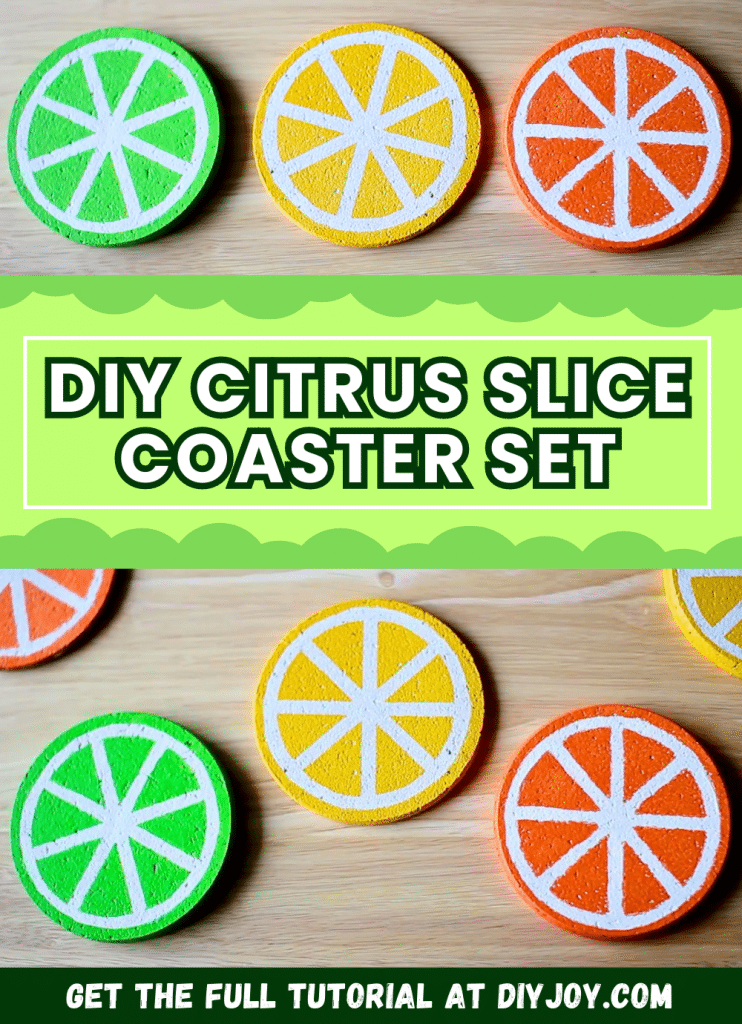 Super Easy DIY Citrus Slice Coaster Set Tutorial - DIY Joy