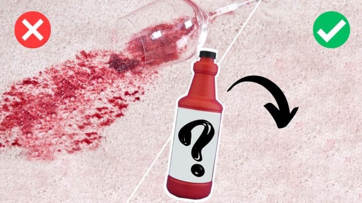 Easy & Quick 5-Minute Carpet Stain Removing Hack - DIY Joy