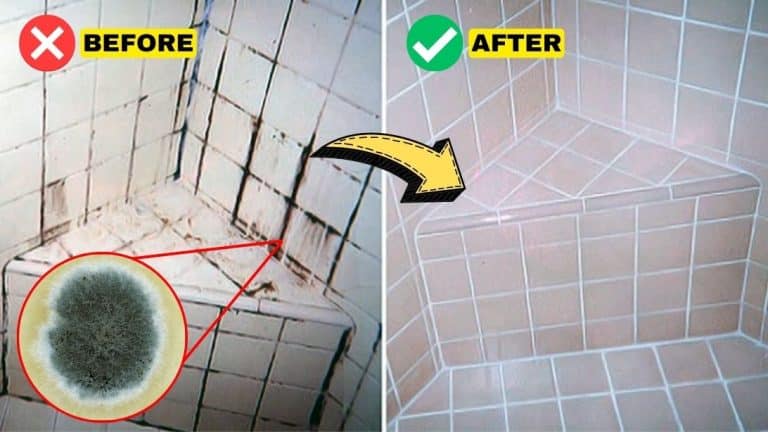 5 Proven Home Remedies to Get Rid of Mold for Good! - DIY Joy