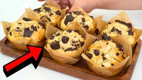 Soft & Fluffy Chocolate Chip Muffin Recipe - DIY Joy