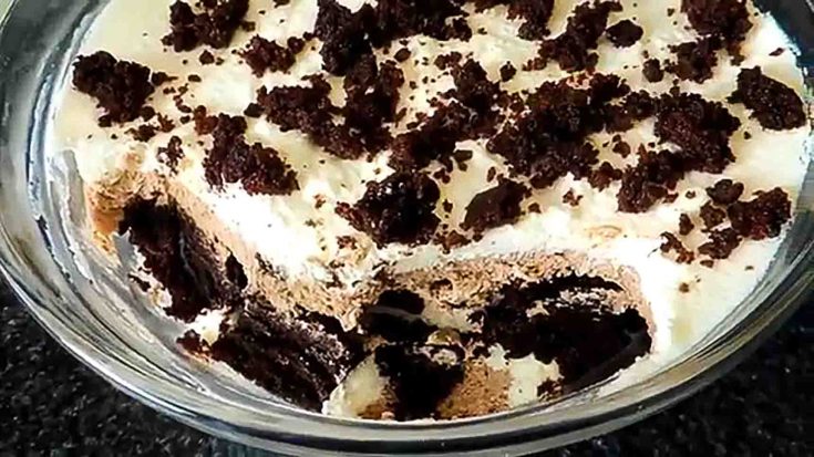 Easy Brownie Trifle Recipe - DIY Joy