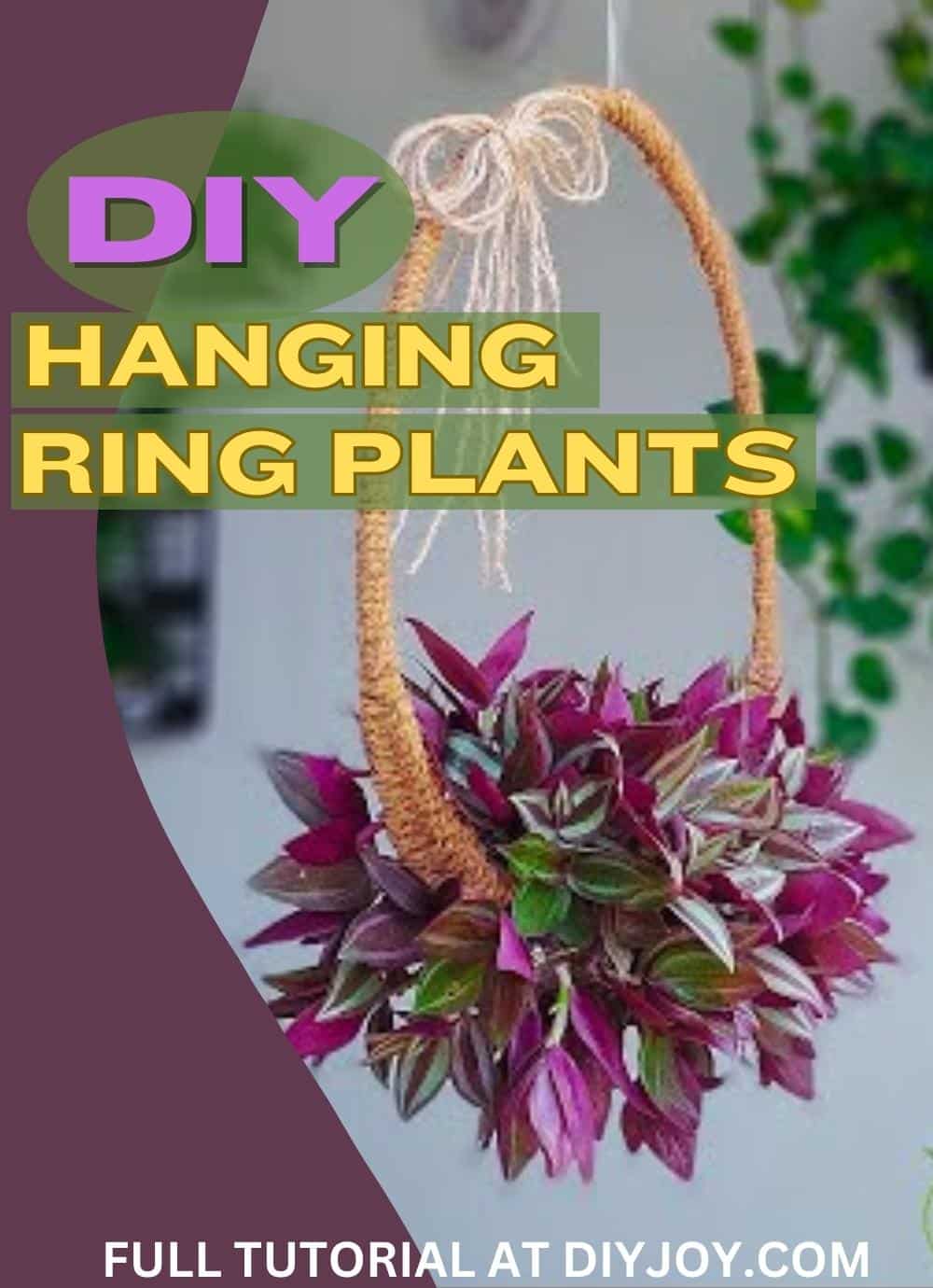 DIY Hanging Ring Plants Tutorial