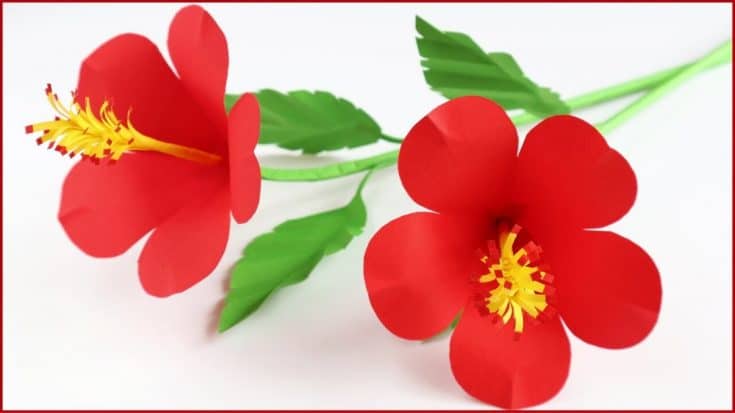 DIY Hibiscus Paper Flower - DIY Joy