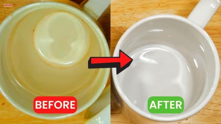 How to Easily Remove Coffee Stains From Mug - DIY Joy