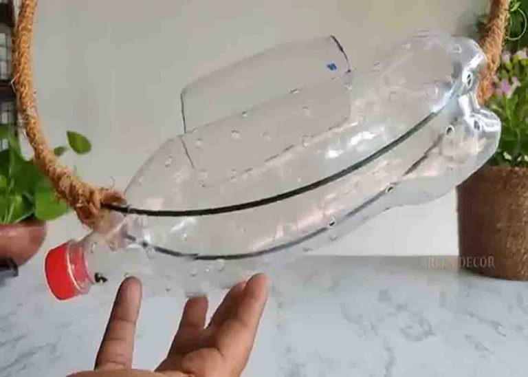 DIY Hanging Ring Plants Tutorial - DIY Joy
