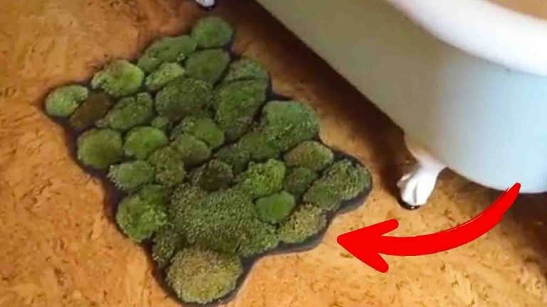 DIY Moss Bath Mat Tutorial - DIY Joy