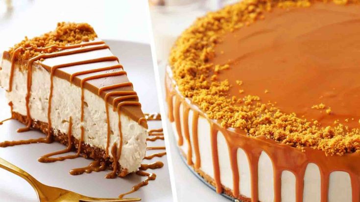 No-Bake Lotus Cream Cheese Cake - DIY Joy