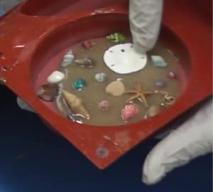 Easy DIY Beachy Seashell and Sand Coaster Tutorial - DIY Joy