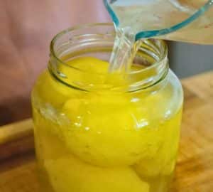 How to Keep Lemons For An Entire Year - DIY Joy